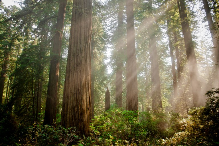 Introducing Meta’s 2023 Sustainability Report - Meta Sustainability