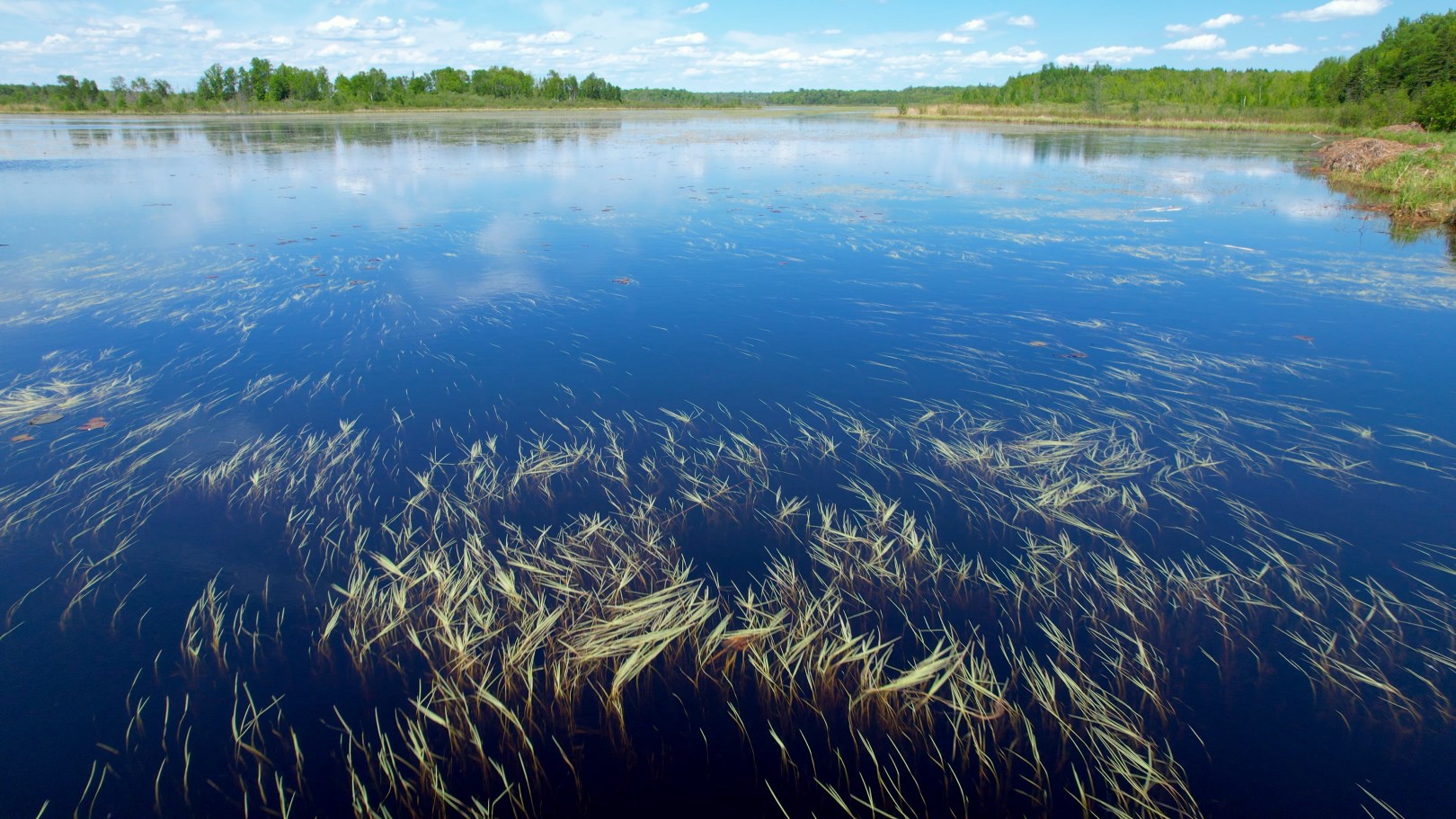 Water - Meta Sustainability