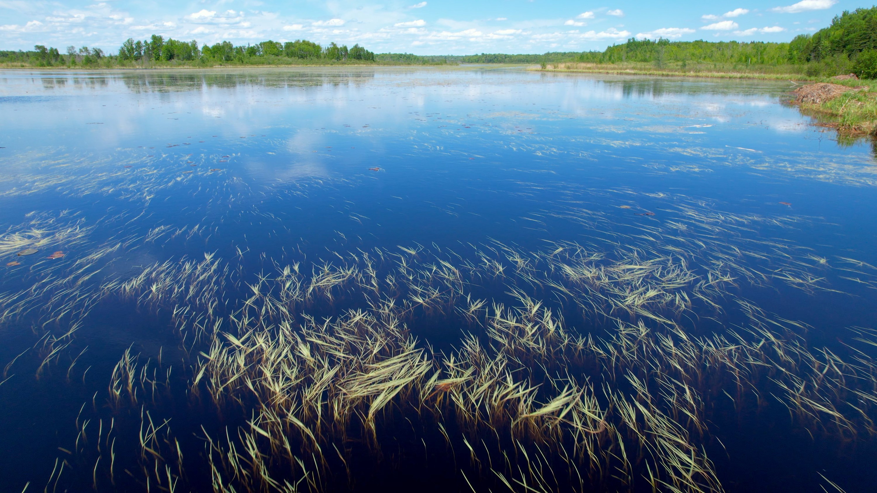 Water - Meta Sustainability